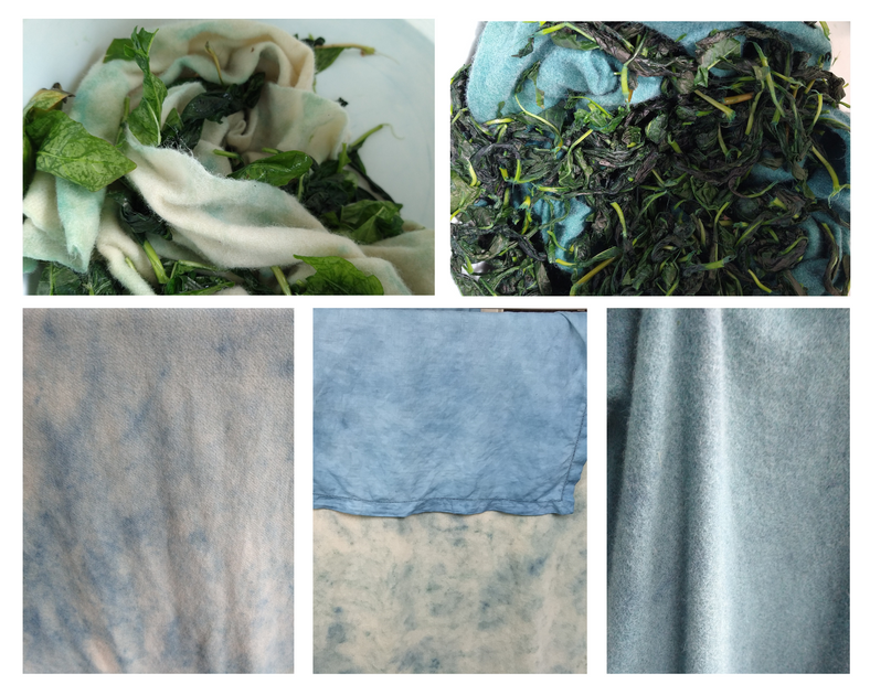 Indigo and Fresh Leaf Dyeing – Jean Haley Dye + Design