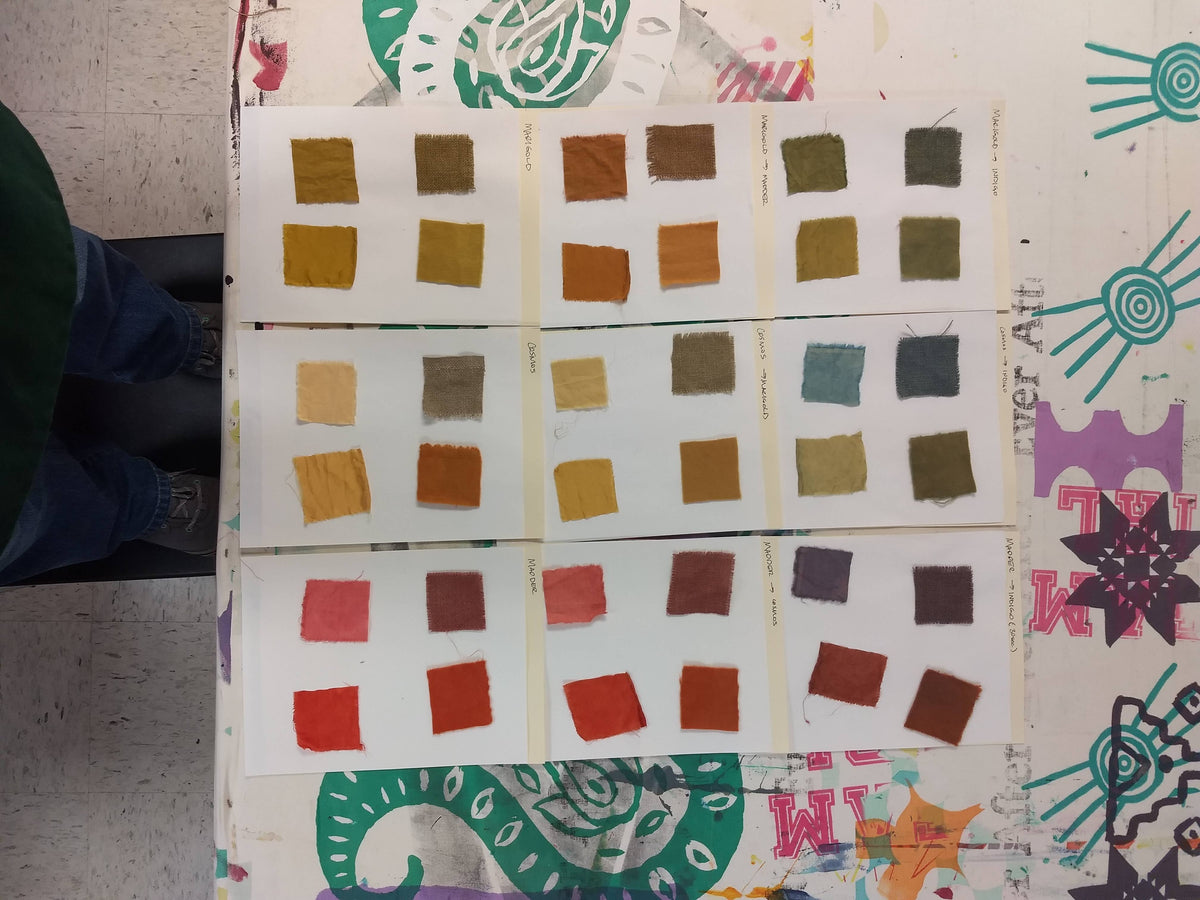 Introduction to Natural Dyes – Jean Haley Dye + Design